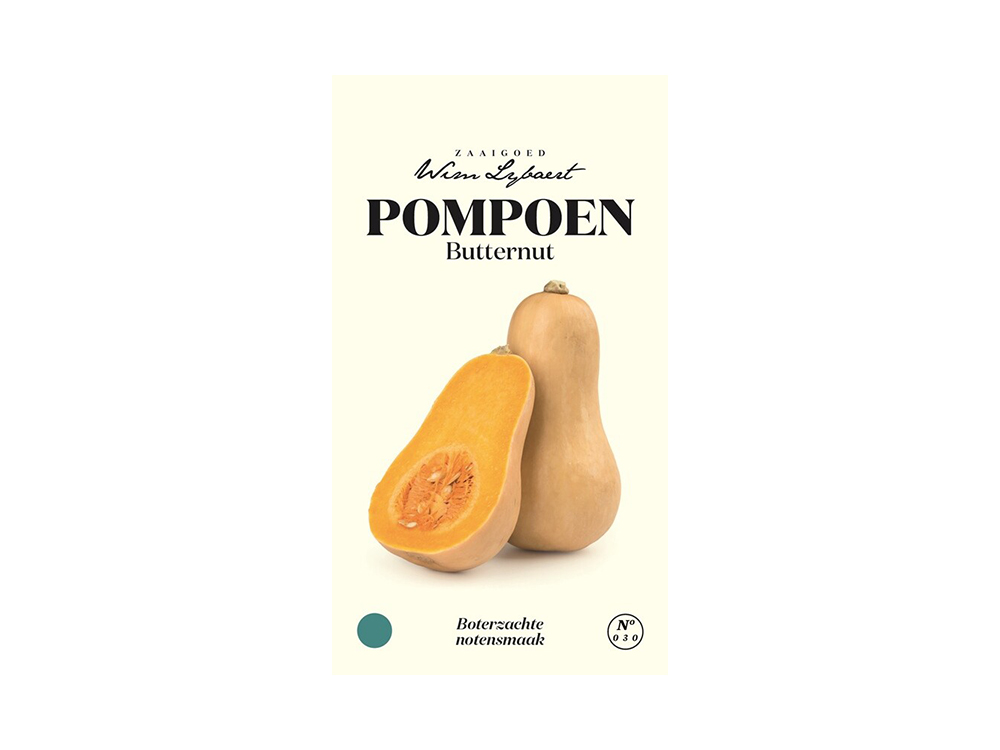 Pompoen Butternut - zaaigoed Wim Lybaert - Pompoen Butternut - zaaigoed ...