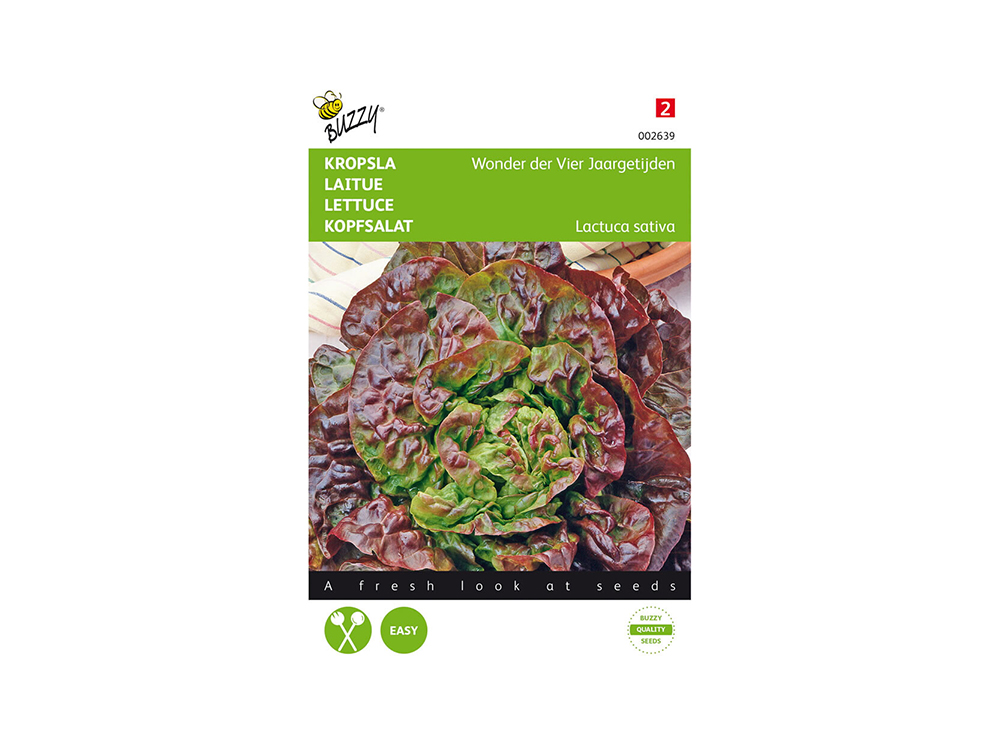 Lactuca Sativa - Kropsla Wonder der Vier Jaargetijden - Lactuca Sativa ...