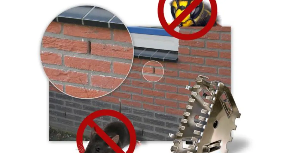 Stootvoegrooster tegen muizen en wespen RVS - 70 mm - Stootvoegrooster ...