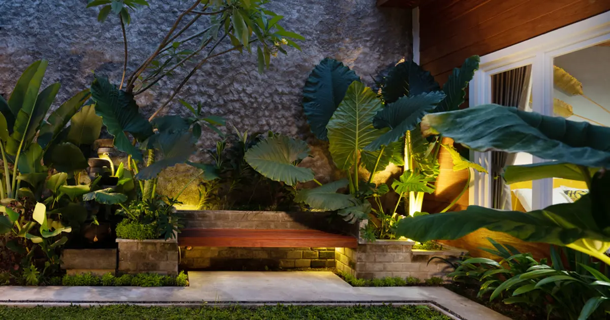 De urban jungle tuin - tropische tuinen - Tuinadvies België